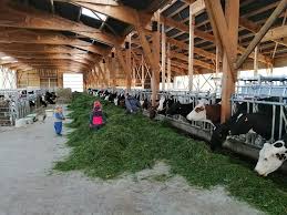 Les PS et MS à la ferme | Ecole Saint Michel